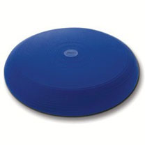 The Fitness Fix - Classic Active Sitting Disc